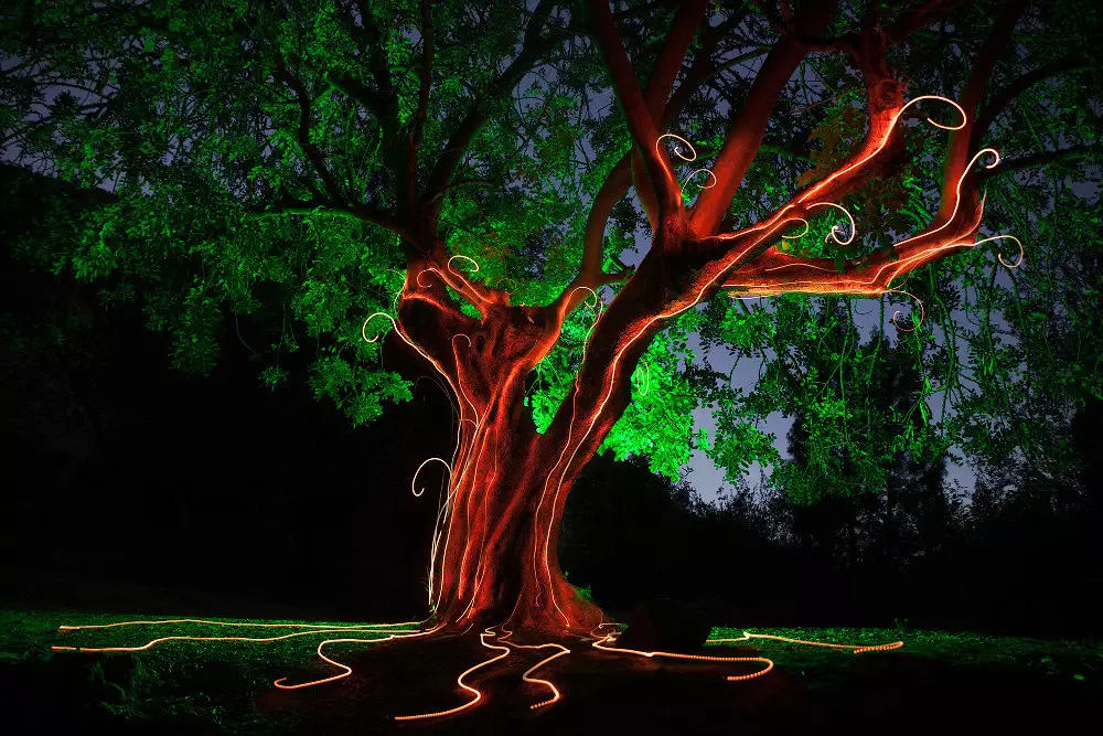 مقابلة Lightpainting بيدرو خافيير الكازار 6