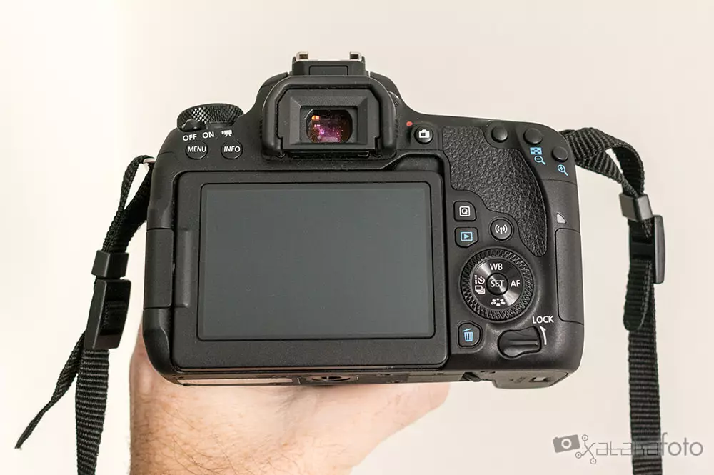 Canon 77d 06644