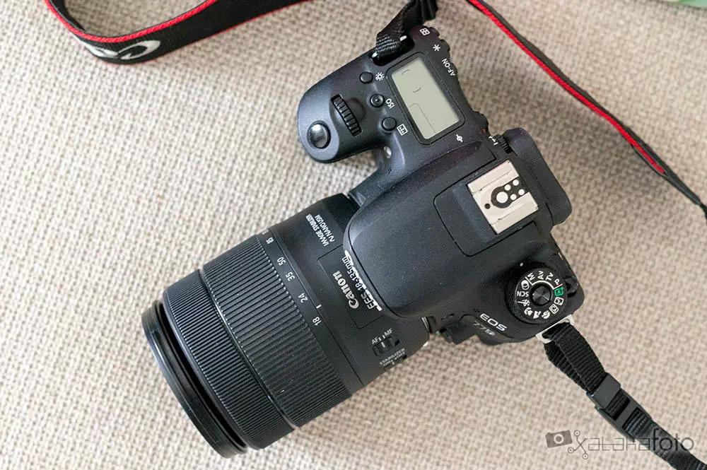 Canon 77d 06646