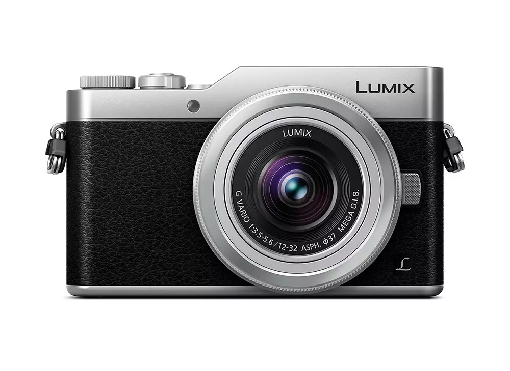 Panasonic Lumix GX800, FZ82 ary Leica Vario-Elmarit 12-60mm ƒ2.8–4.0 lens