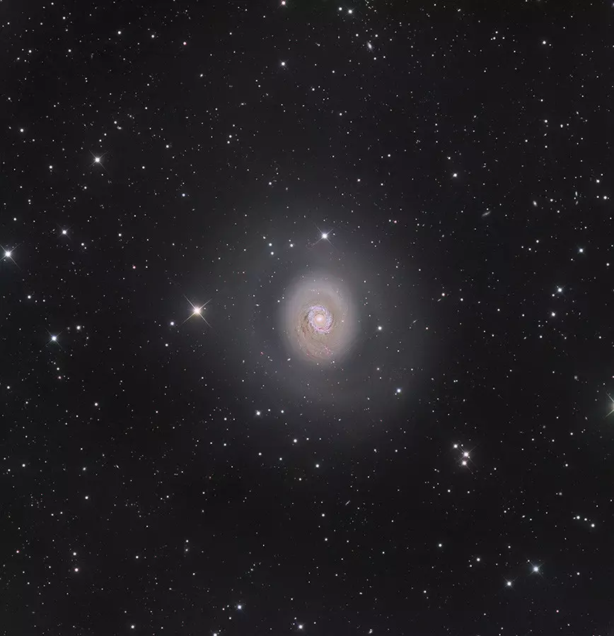 M94 Deep Space Halo Nicolas Outers