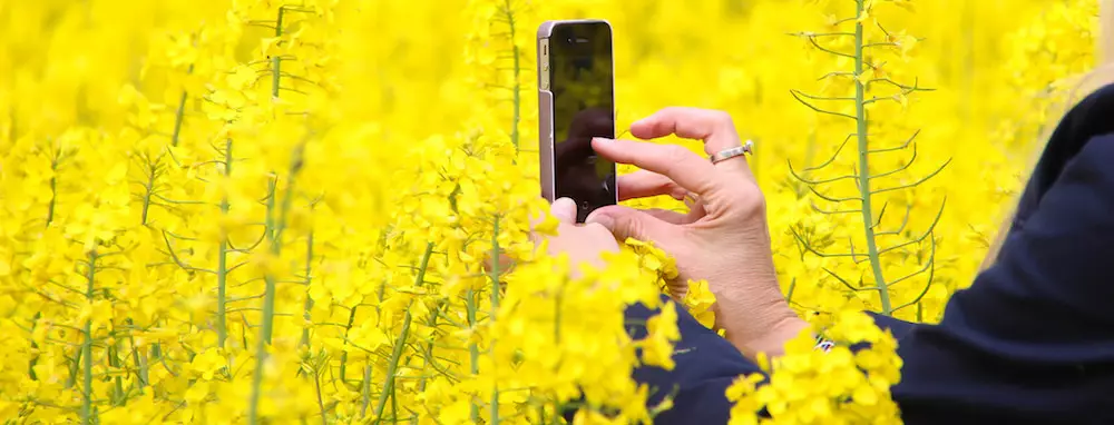 Mga Istorya sa Instagram: Giunsa kini pagpahimulos ingon mga propesyonal nga photographer