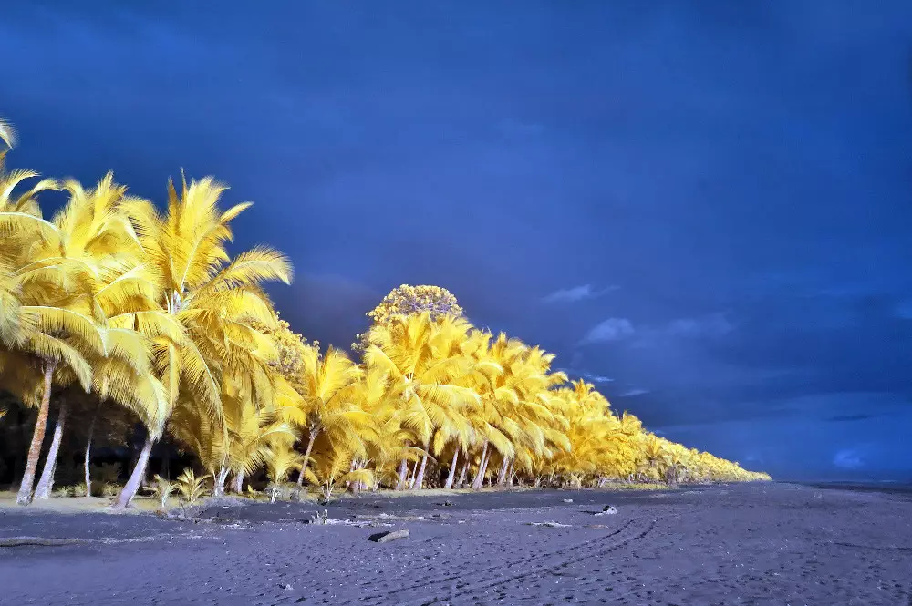 การถ่ายภาพอินฟราเรด ชายหาดคอสตาริกา