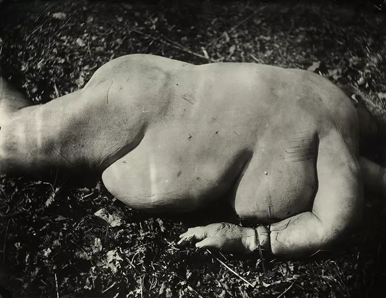 Sally Mann Body Farm Bw 03 1