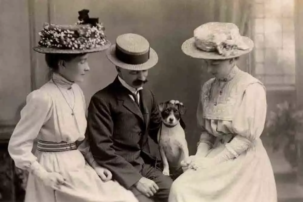 libbyhallcollectiondogs 12