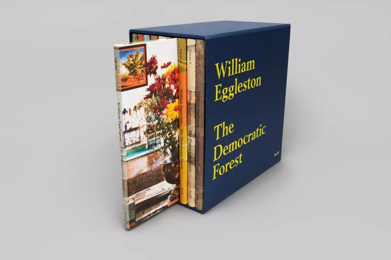Enticing New Reissue of William Eggleston's Essential Work 'The Democratic Forest'