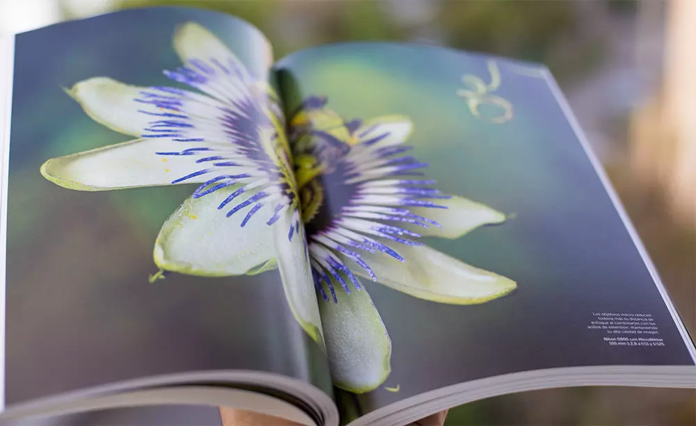 macrofotografia