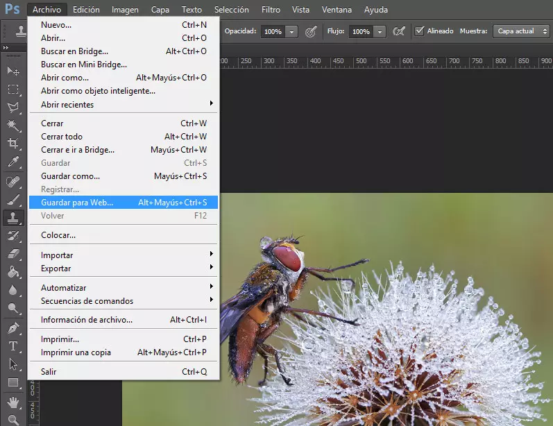 Guardar per a web a Adobe Photoshop CC