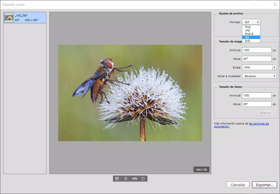 Export an Adobe Photoshop CC 2015