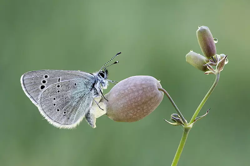 stohovanie zaostrenia