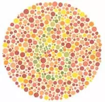 Color blindness 6