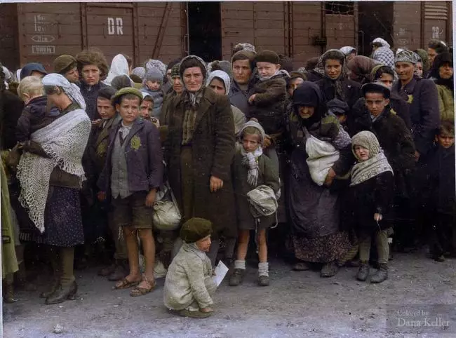 27 mai 1944, femmes et enfants juifs arrivant au camp d'extermination d'Auschwitz Birkenau en Pologne