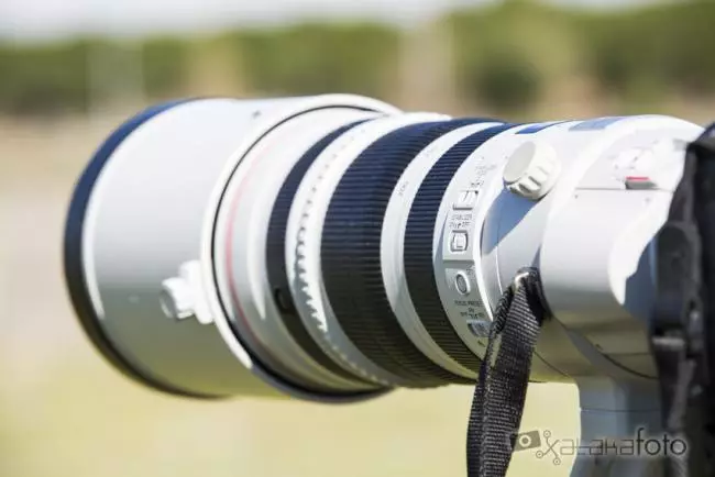 Extensor Canon EF 200-400mm f/4L IS USM 1.4x