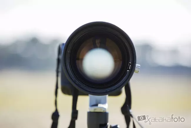 Canon EF 200-400 mm f/4L IS USM paplašinātājs 1,4x