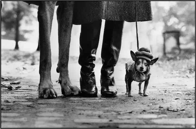 Elliot Erwitt