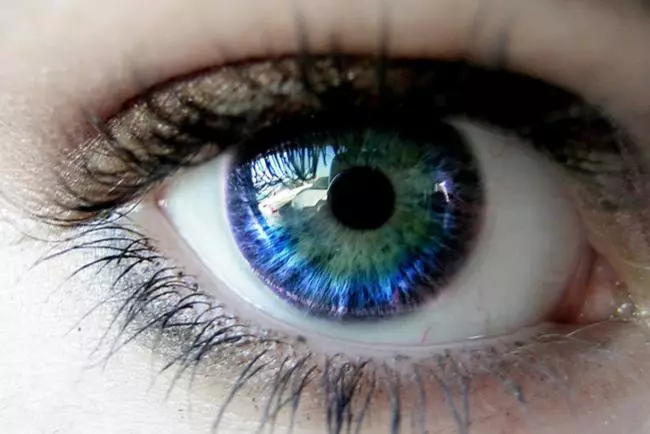 vackra mänskliga ögat