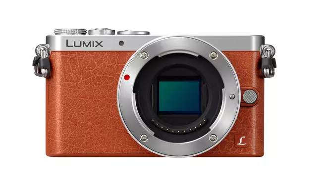 Lumix GM1 තැඹිලි