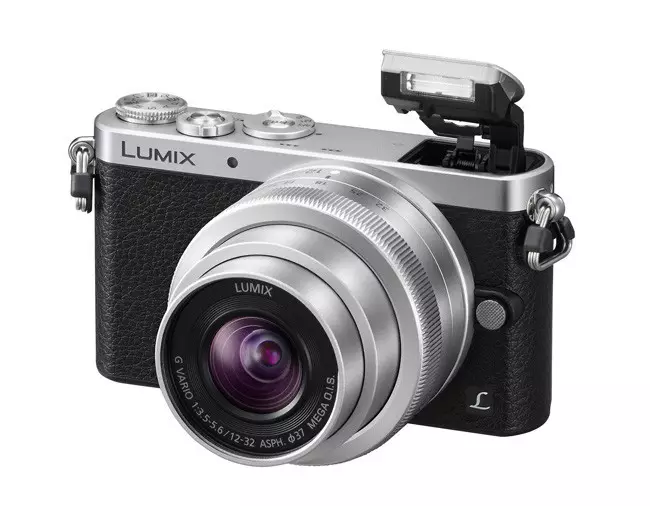 Lumix GM1 สีดำเงิน