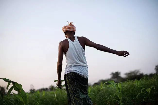 Miguel Candela - Ndị ọrụ ugbo