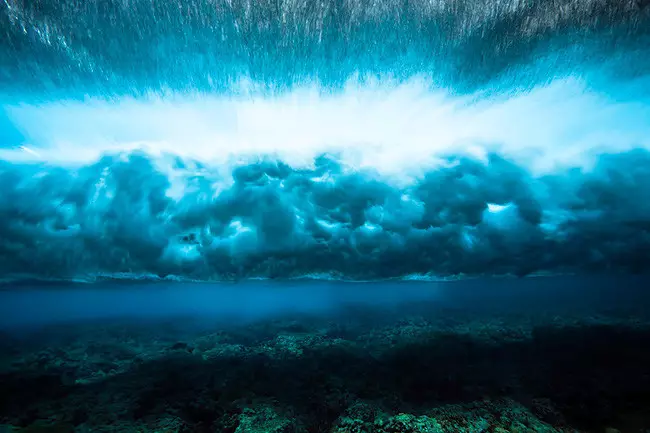 Refresca't aquest estiu amb les impressionants fotografies submarines de Mark Tipple